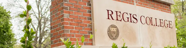 The Information Behind Nursing Informatics and the Foundation of ...